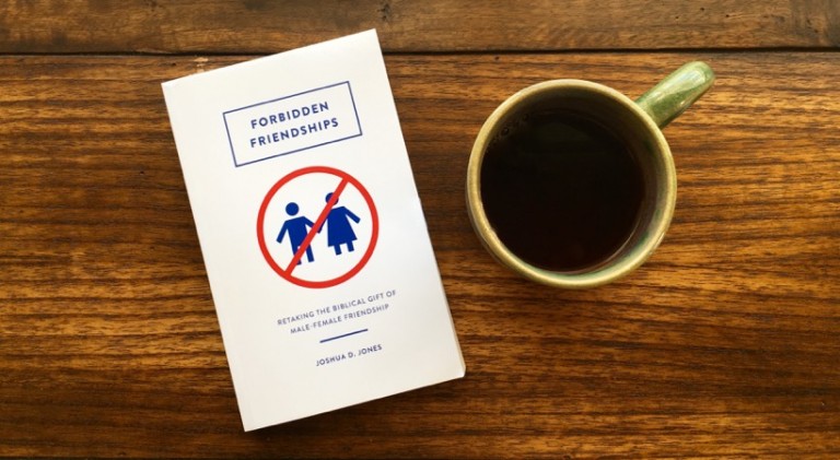 Review: Forbidden Friendships – The Happy Alternative